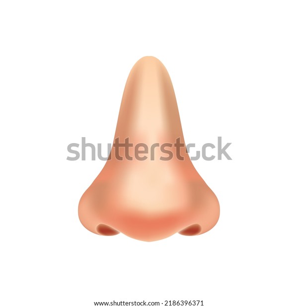 Human Nose Realistic Vector Illustration Isolated: เวกเตอร์สต็อก (ปลอด ...