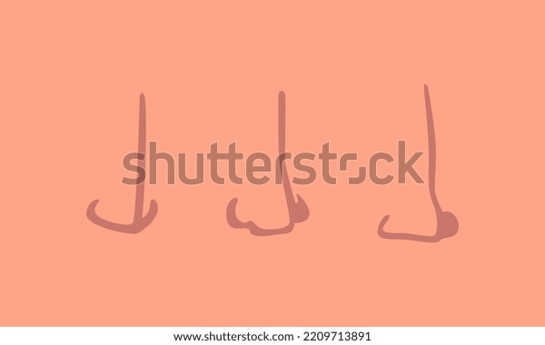 Human Nose Stroke Curve Face Design Stock Vector (Royalty Free ...