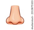 368,899 Funny Nose Royalty-Free Images, Stock Photos & Pictures ...