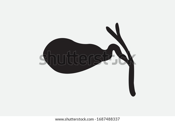 Human Organ Gallbladder Vector Illustration Stock Vector (Royalty Free ...