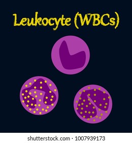 Human Organ Icon Flat Style Leukocyte Stock Vector (Royalty Free ...