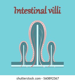 4,492 Villi Images, Stock Photos & Vectors | Shutterstock