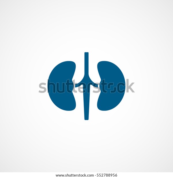 Human Organ Kidney Blue Flat Icon Stock Vector (Royalty Free) 552788956 ...