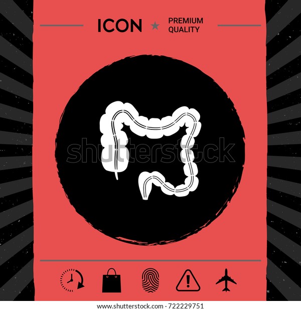 Human Organ Large Intestine Stock Vector (Royalty Free) 722229751 ...