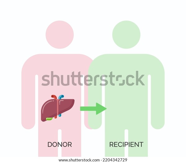Human Organ Transplantation Concept Vector Illustration Stock Vector ...