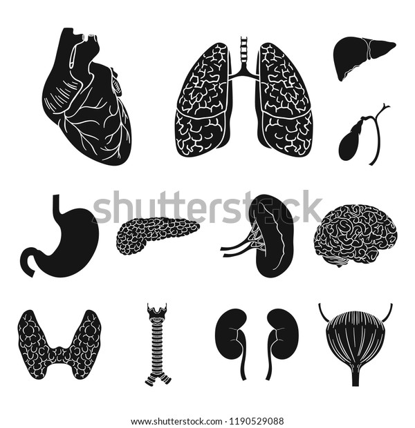 Human Organs Black Icons Set Collection Stock Vector (Royalty Free ...