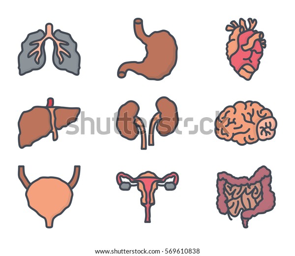 Human Organs Disease Icon Stock Vector (Royalty Free) 569610838