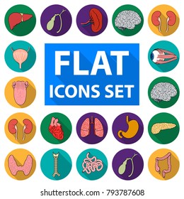 Human Organs Flat Icons Set Collection Stock Vector (Royalty Free ...