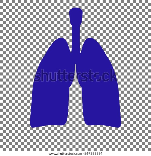 Human Organs Lungs Sign Blue Icon Stock Vector (Royalty Free) 569383384 ...