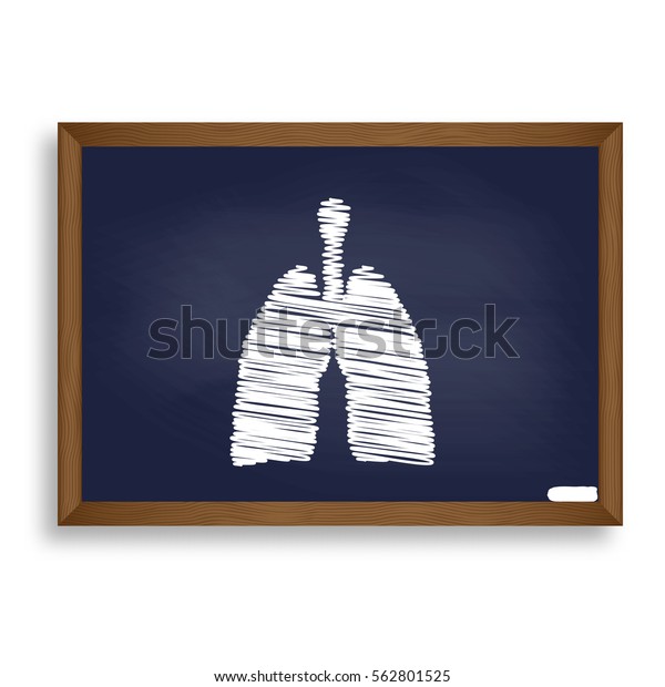 Human Organs Lungs Sign White Chalk Stock Vector (Royalty Free ...