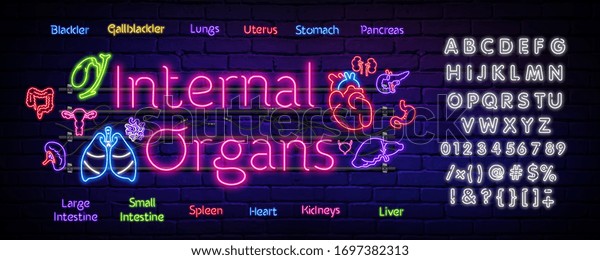 Human Organs Neon Icons Set Collection Stock Vector (Royalty Free ...