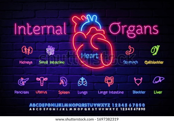 Human Organs Neon Icons Set Collection Stock Vector (Royalty Free ...