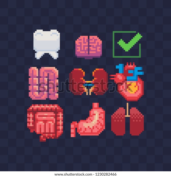 Human Organs Pixel Art Icons Set 스톡 벡터(로열티 프리) 1230282466 | Shutterstock