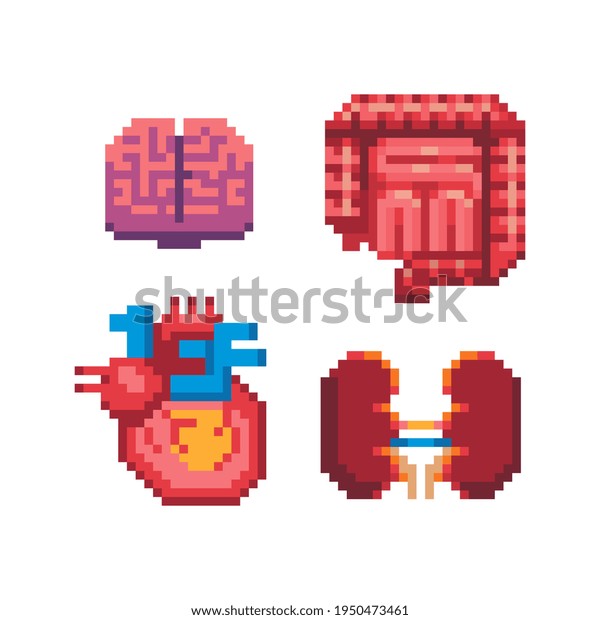 Human Organs Pixel Art Icons Set Stock Vector (Royalty Free) 1950473461 ...