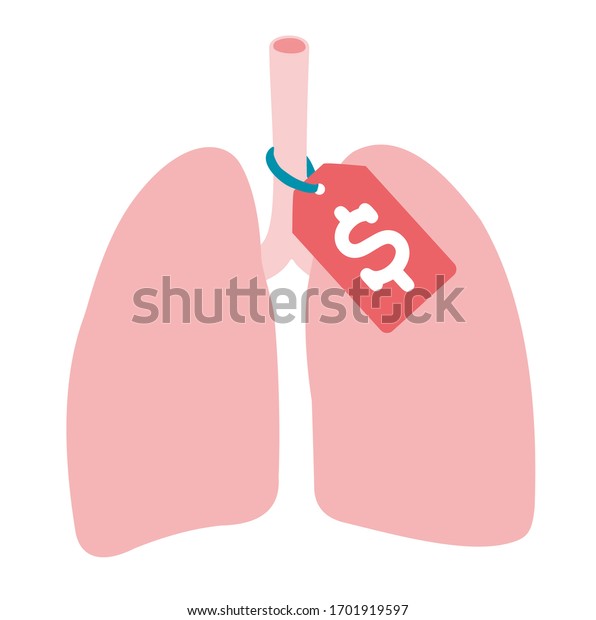 Human Organs Price Tag How Expensive Stock Vector (Royalty Free ...