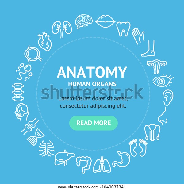 Human Organs Signs Round Design Template Stock Vector (Royalty Free ...