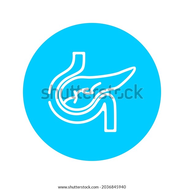 Human Pancreas Icon High Quality Editable Stock Vector (Royalty Free ...