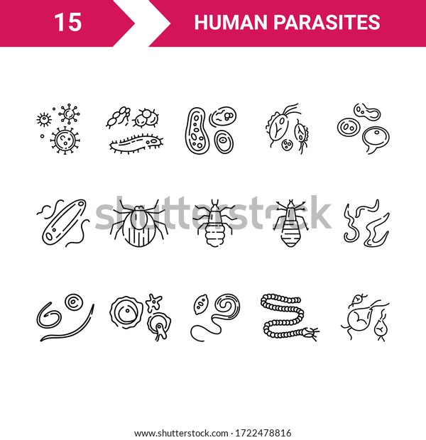 Human parasites. Set of linear icons. Roundworms, tapeworm, whipworm ...