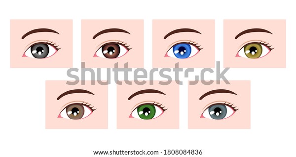 Human Pupil Eyeball Variations Eye Color Stock Vector (Royalty Free ...