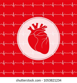 Human Red Heart Icon Electrocardiogram Background Stock Vector (Royalty ...