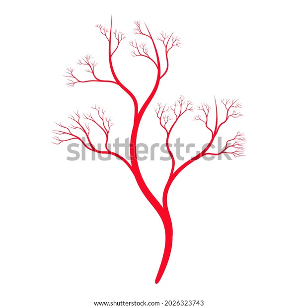 Human Red Veins Vessel Capillaries Arteries Stock Vector (Royalty Free ...