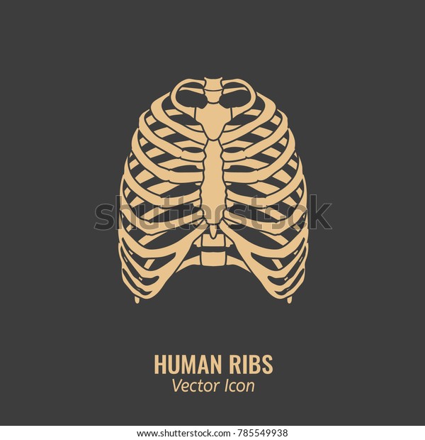 Human Ribs Icon Chest Image Flat 스톡 벡터(로열티 프리) 785549938 | Shutterstock