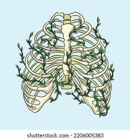 Human Ribs Illustration Vector About Science Stock Vector (Royalty Free ...