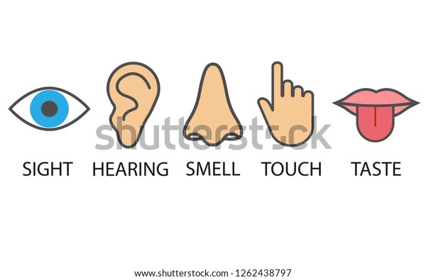 Human Senses Icon Vector Illustration Flat Stock Vector (Royalty Free ...