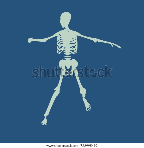 Human Skeleton Fighting Pose Halloween Party: เวกเตอร์สต็อก (ปลอดค่า ...