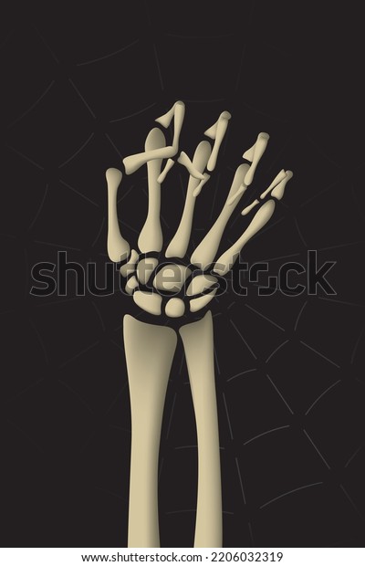 Human Skeleton Realistic Raised Hand Clenched: เวกเตอร์สต็อก (ปลอดค่า ...