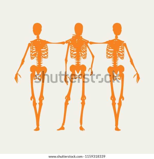 Human Skeleton Standing Hugging Halloween Party Stock Vector (Royalty ...