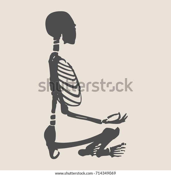 Human Skeleton Yoga Meditation Pose Vector Stock Vector (Royalty Free ...
