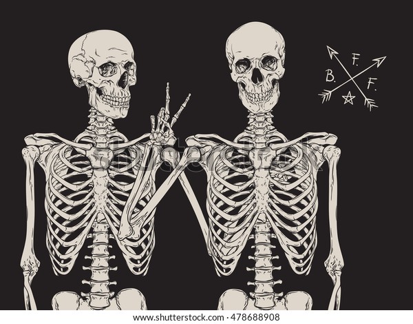 Human Skeletons Best Friends Posing Isolated Stock Vector (Royalty Free ...