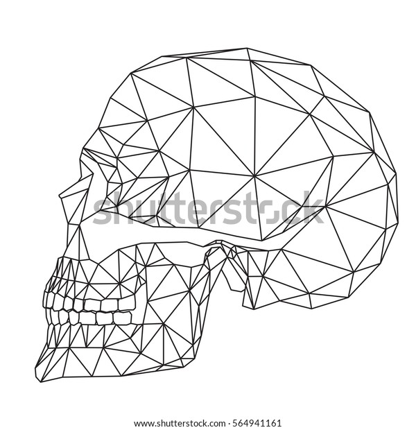 Human Skull Cranium Geometric Black Lines Stock Vector (Royalty Free ...