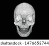 Half Face Half Skull Photos and Images | Shutterstock
