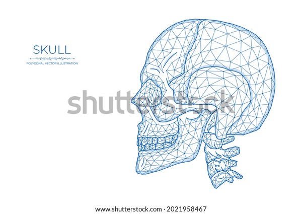 Human Skull Low Poly Art Polygonal Stock Vector (Royalty Free ...