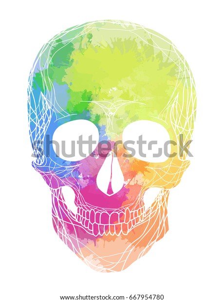Human Skull Rainbow Watercolor Splashes On Stock Vector (Royalty Free ...