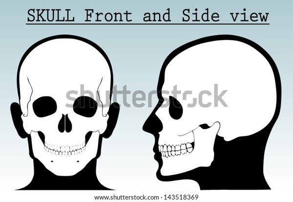 human skull with silhouette head /front and side view/ vector illustration