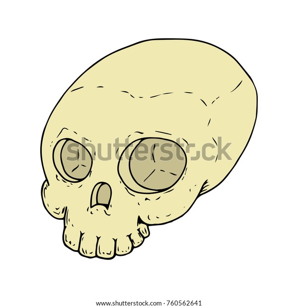Human Skull Without Lower Jaw Vector Stock Vector (Royalty Free ...