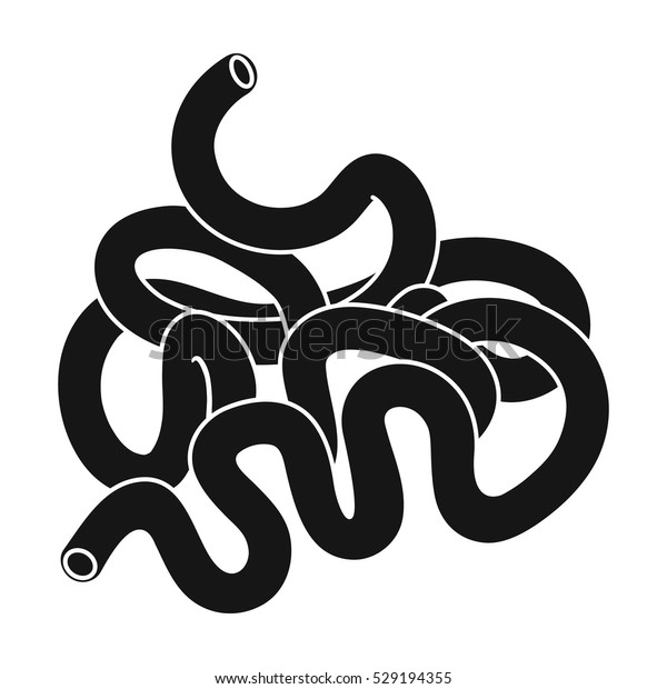 Human Small Intestine Icon Black Style: vector de stock (libre de ...
