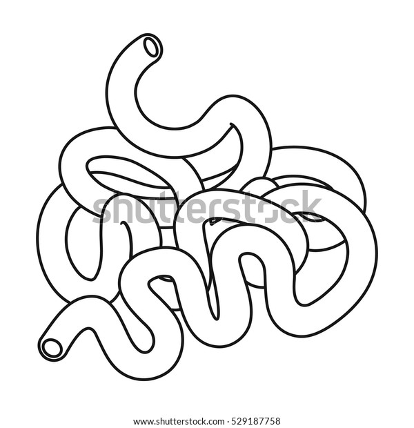 Human Small Intestine Icon Outline Style Stock Vector (Royalty Free ...