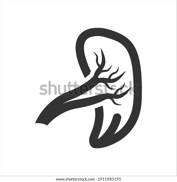 Human Spleen Icon Vector Graphics Stock Vector (Royalty Free ...