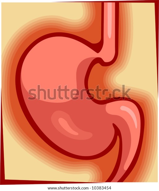 Human Stomach Blue Background Stock Vector (Royalty Free) 10383454 ...