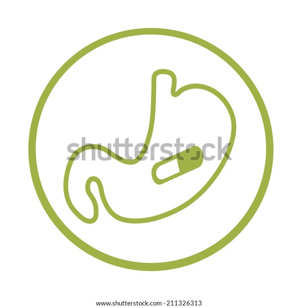 Human Stomach Infographics Icon 10 File Stock Vector (Royalty Free ...
