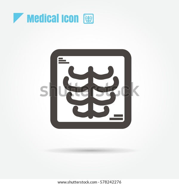 Human Thorax Icon On White Background Stock Vector (Royalty Free ...