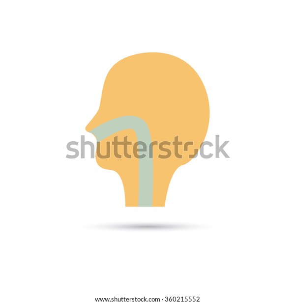 Human Throat Color Icon Stock Vector (Royalty Free) 360215552 ...