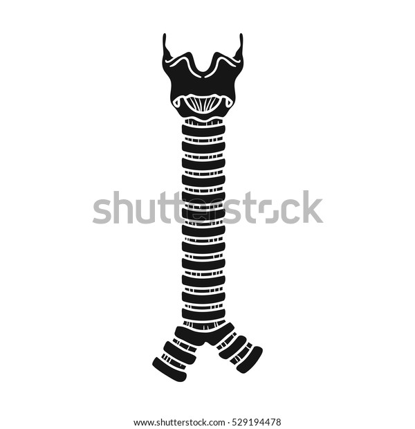 Human Trachea Icon Black Style Isolated Stock Vector (Royalty Free ...