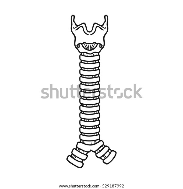 Human Trachea Icon Outline Style Isolated Stock Vector (Royalty Free ...