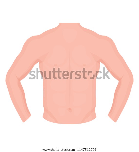 Human Upper Body Six Packs Here Stock Vector (Royalty Free) 1147512701 ...