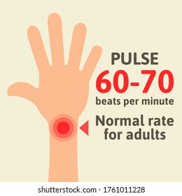 Human Wrist Pulse Measurement Normal Pulse Stock Vector (Royalty Free ...